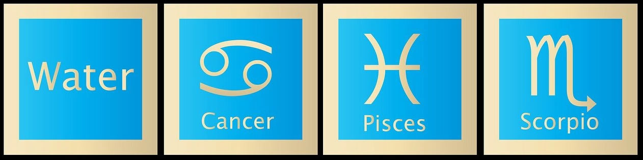 The Zodiac and the 12 Signs